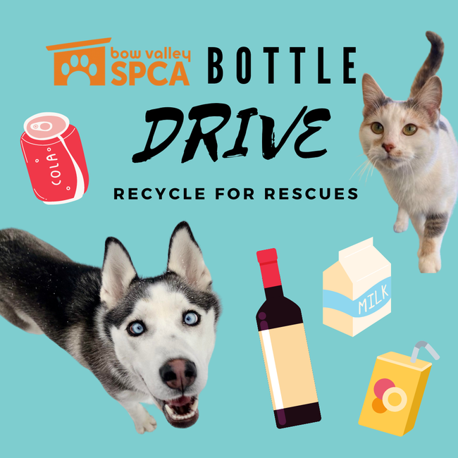 Recycle For Rescues Bottle Drive | BVSPCA
