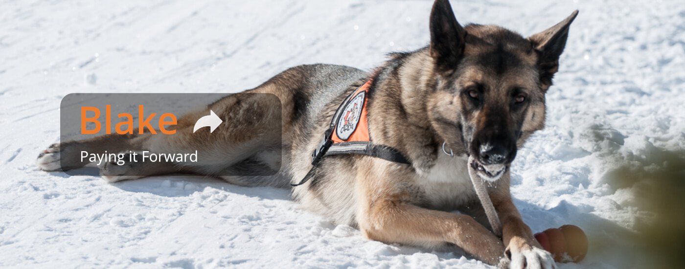 Bow Valley SPCA | BVSPCA